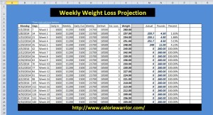 Weight Loss Worksheet | Calorie Warrior